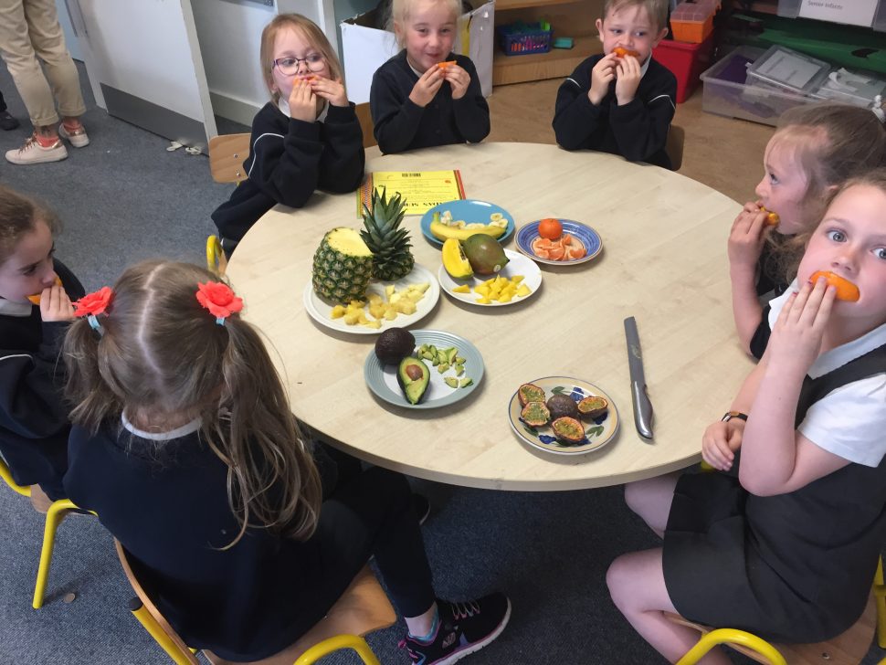 Handa’s Surprise in Ms. McCabe’s class – Knockmore Junior School